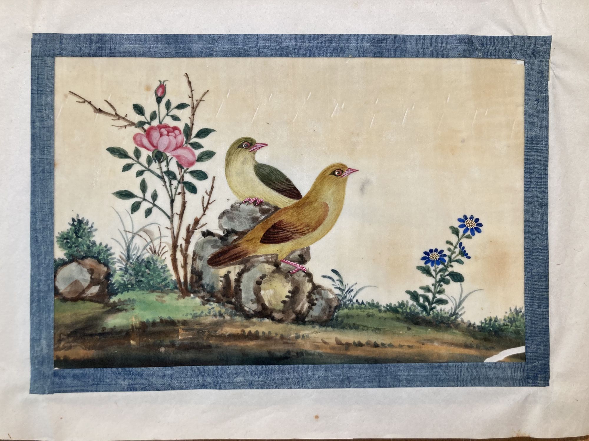 A twelve-leaf album of Chinese export paintings of Birds | Chinese Pith ...